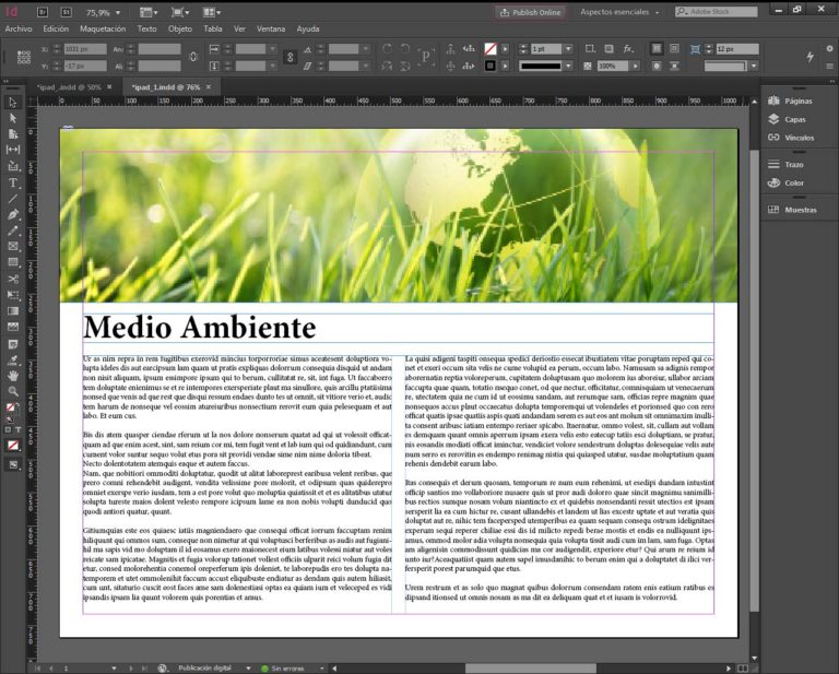Diseño Flotante: Creación de diseños alternativos Indesign