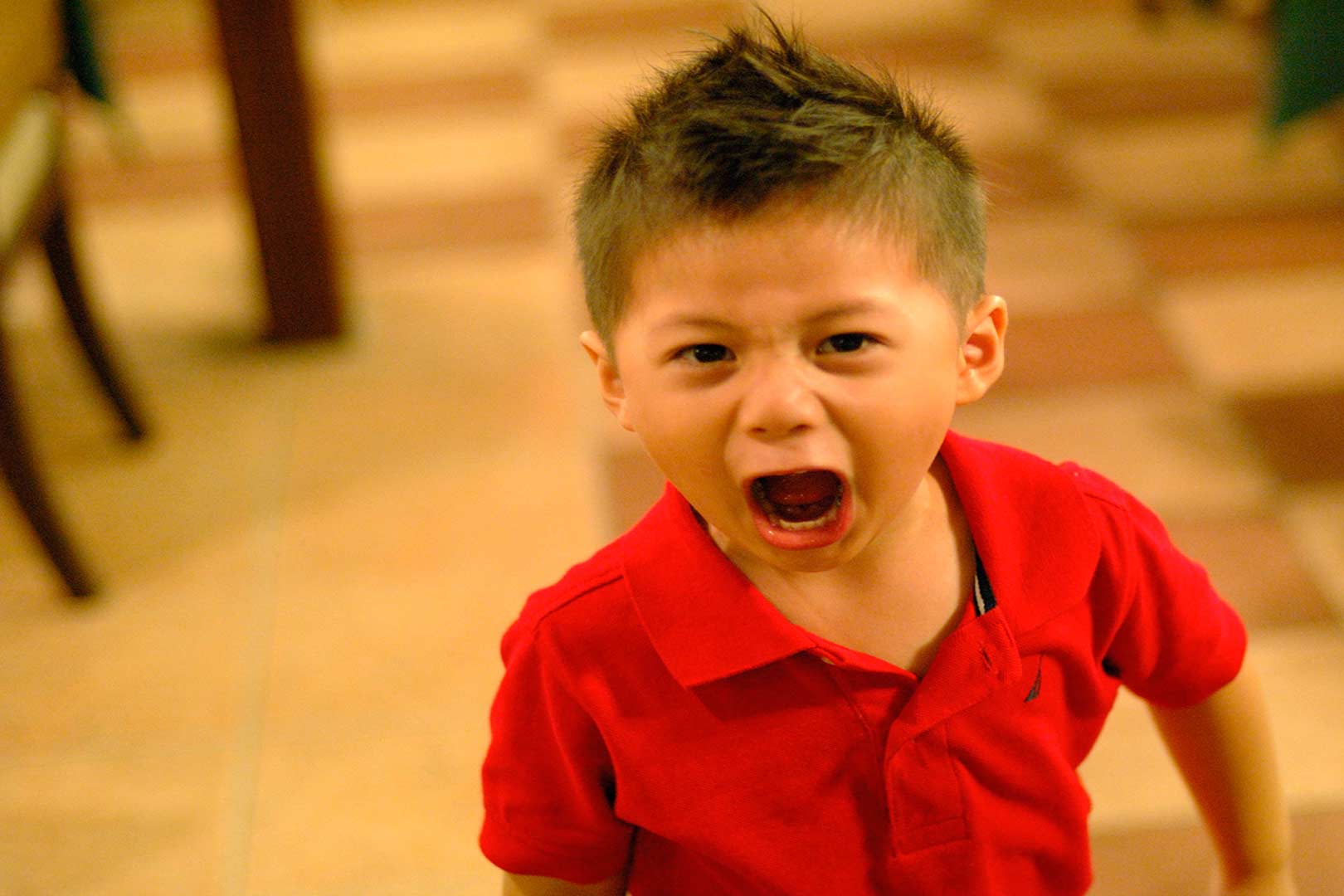 Niños malcriados ¿El origen del problema?