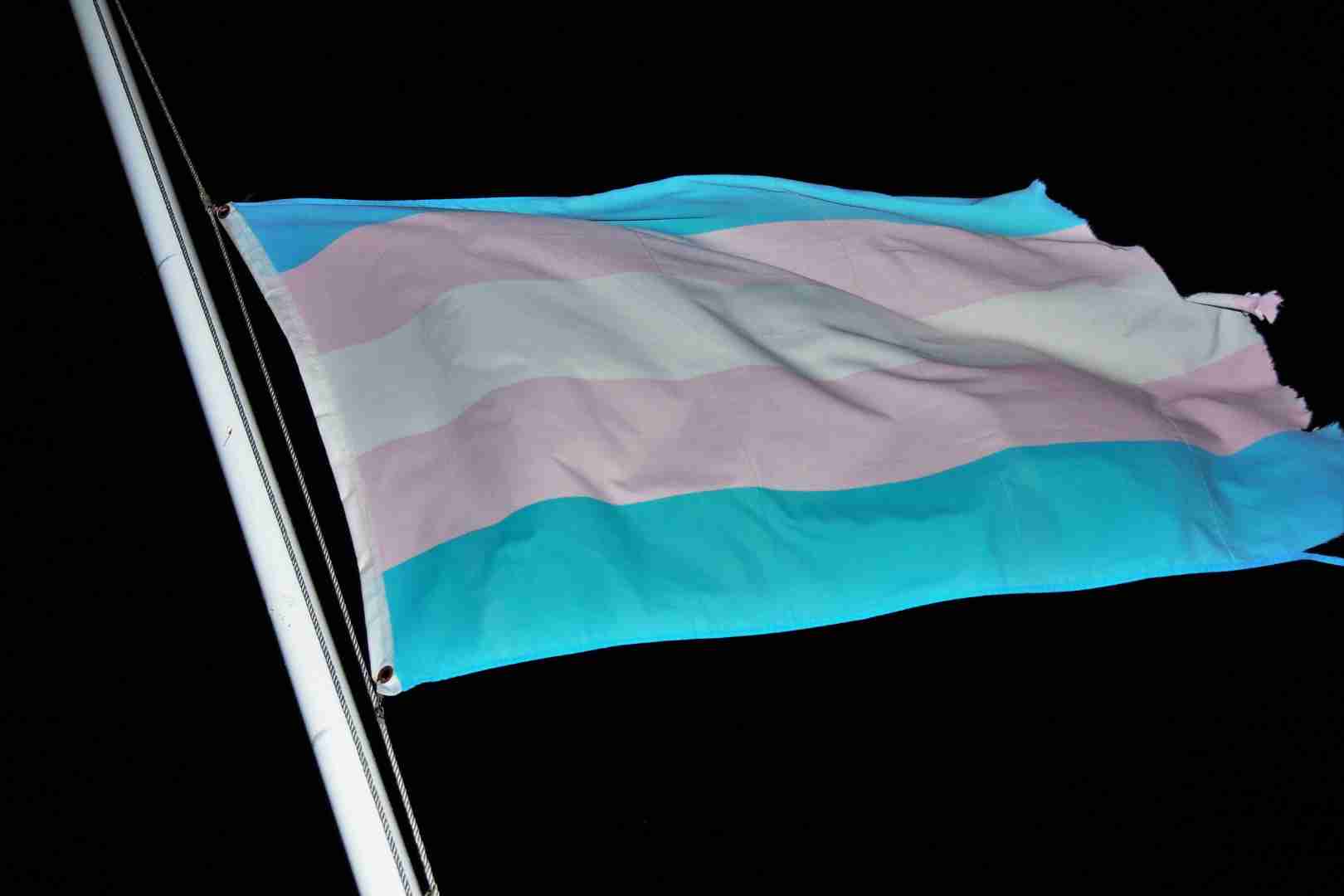 Conoce todo sobre el término TERF (Trans Excluyent Radical Feminist)