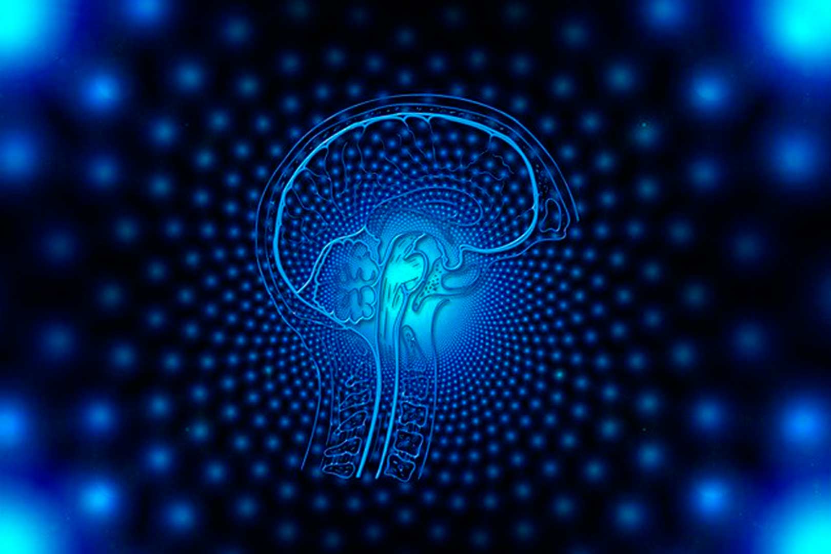 El Mindset Digital: Las 4 habilidades que hay que adquirir